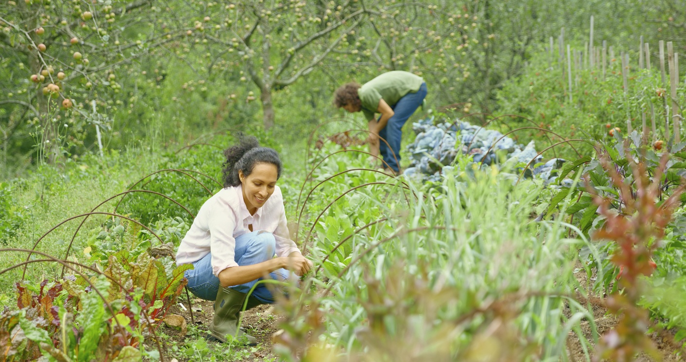 Pour une permaculture évangélique - Christianisme Aujourd'hui